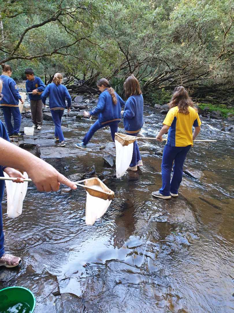 Catchment Care | Hunter Water